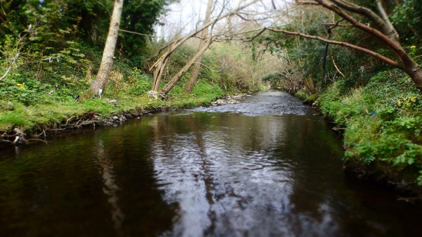 Dodder Greenway 1 | ROD